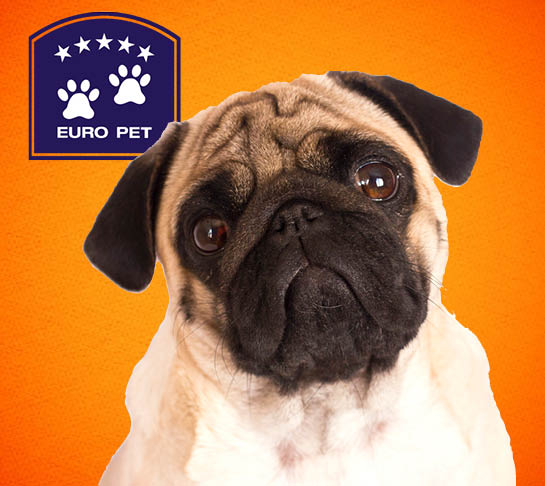 Euro Shop | Parions que nous l'avons!